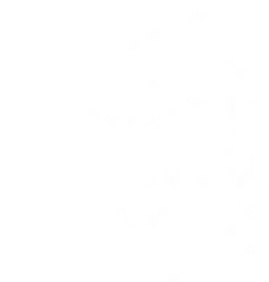 LoL Rank Boost - Expert LoL Boosting & Quick & Fast Rank Up